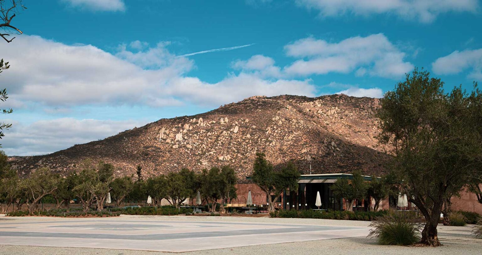 Andana Ensenada - Valle de Guadalupe - Eventos